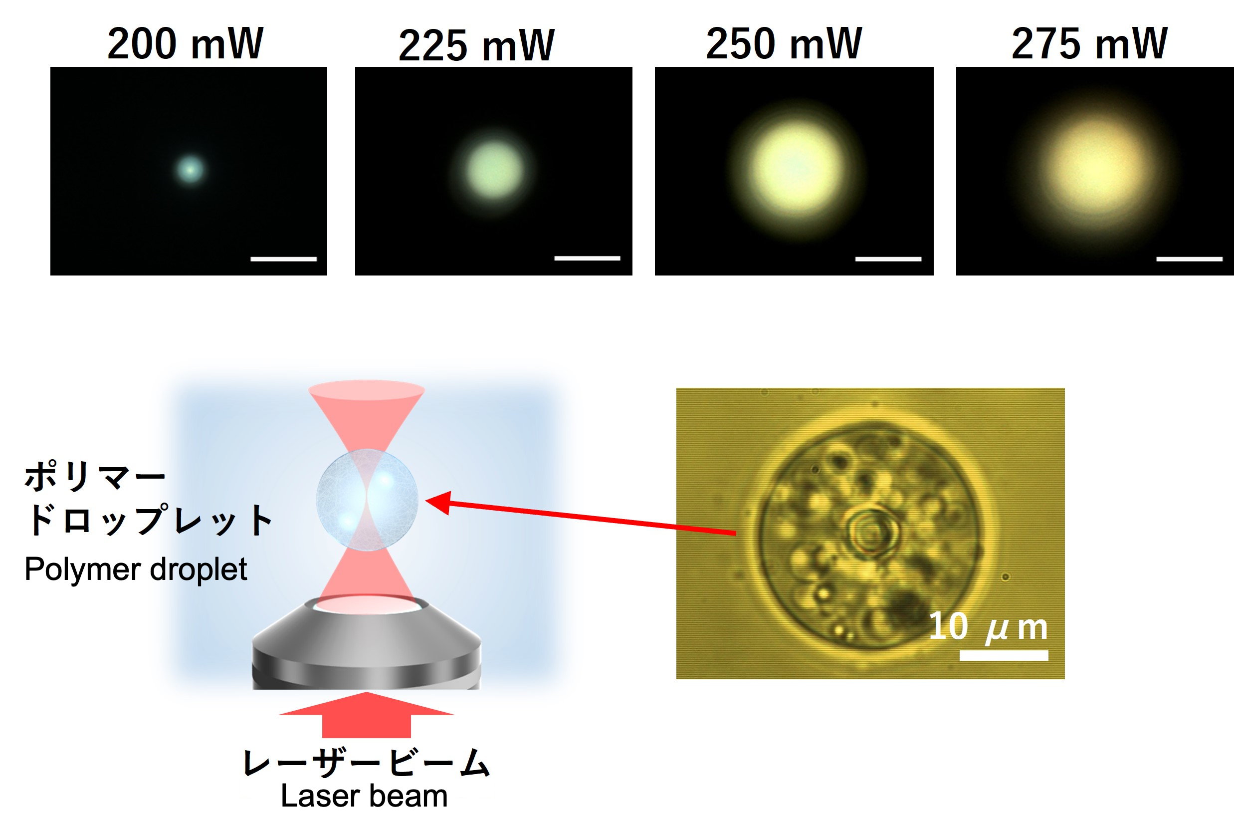 Chiral materials science pioneered by the helicity of light – 光の螺旋性が拓く ...